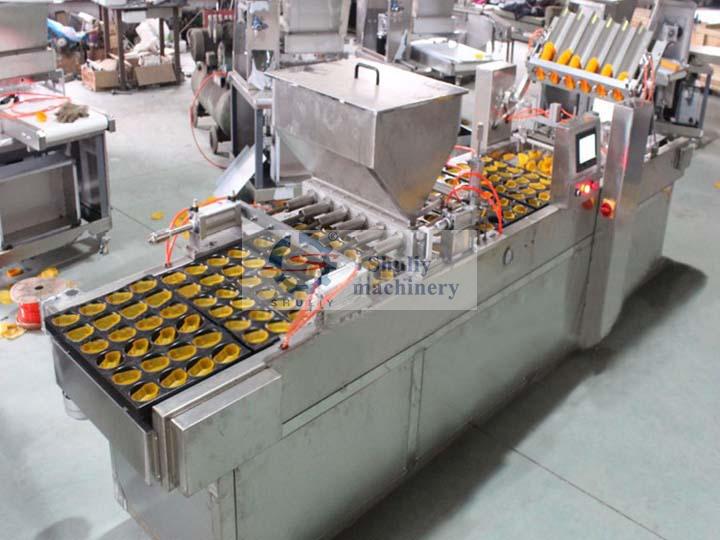 Cupcake production line - Shuliy Machinery