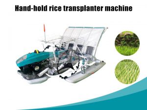 Self-propelled transplanter machine | vegetable transplanter
